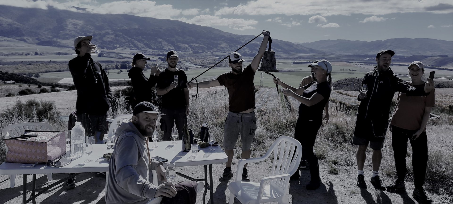 Wine club - Ariosa Wines